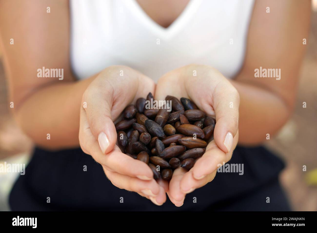 Baru seeds hi-res stock photography and images - Alamy