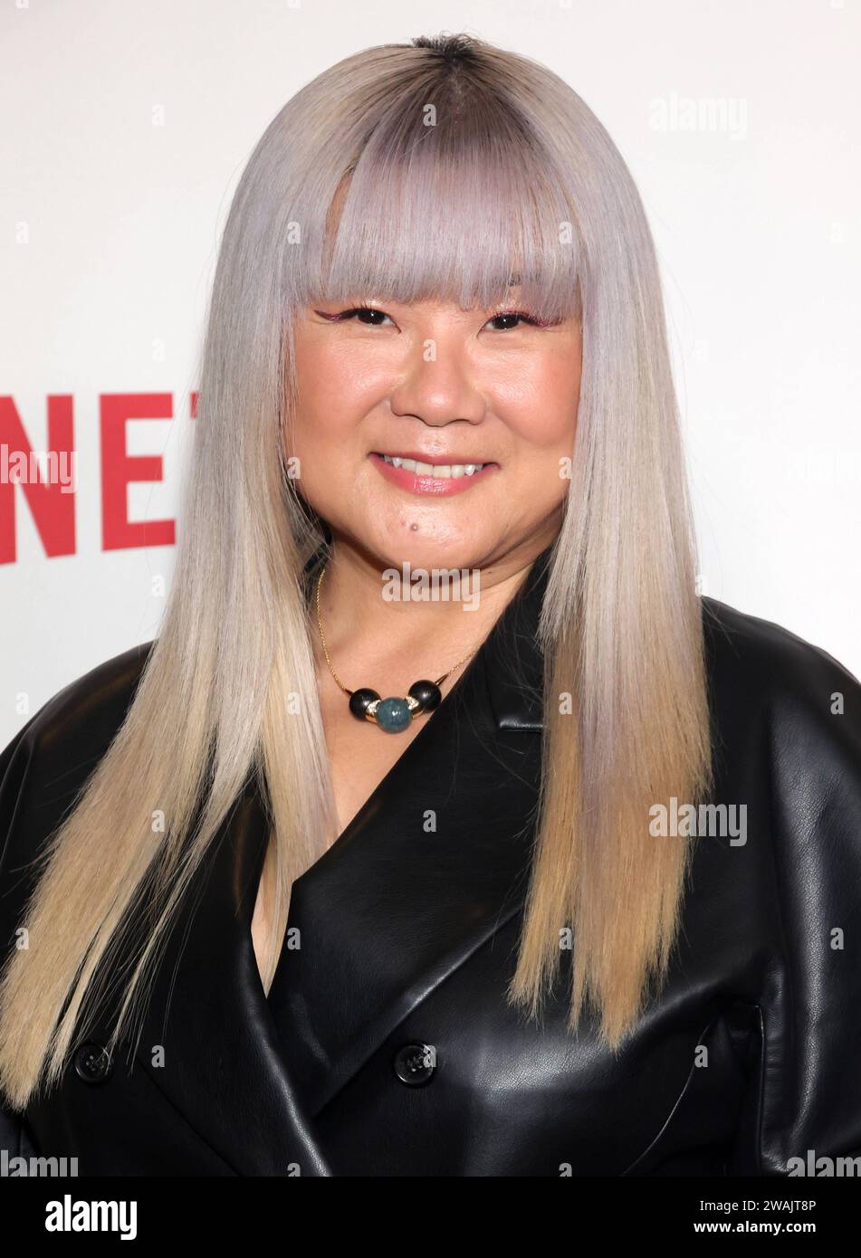 LOS ANGELES, CA - JANUARY 4: Jenny Yang at the Netflix Premiere Of The ...