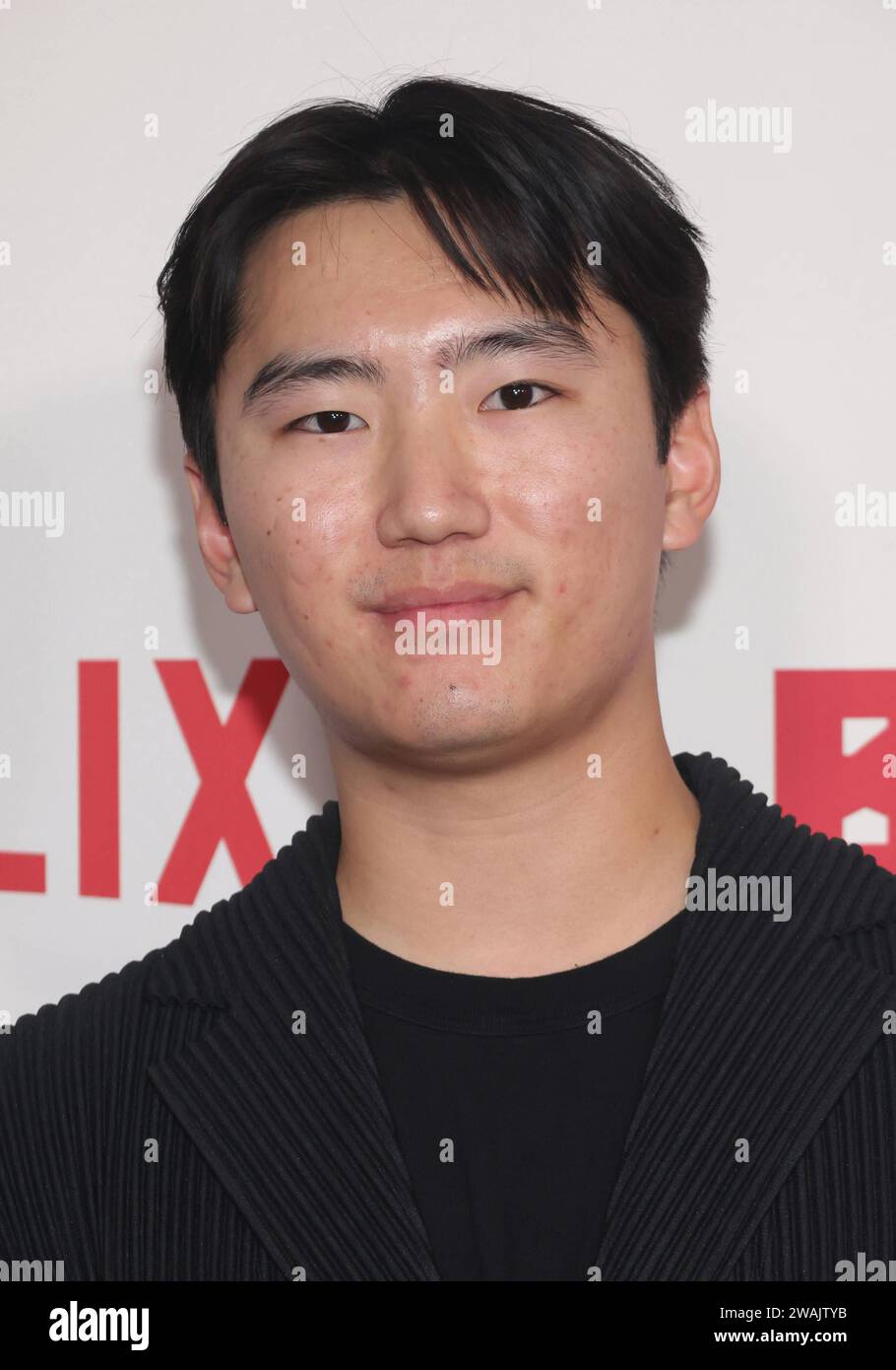 LOS ANGELES, CA - JANUARY 4: Nick Lee at the Netflix Premiere Of The ...