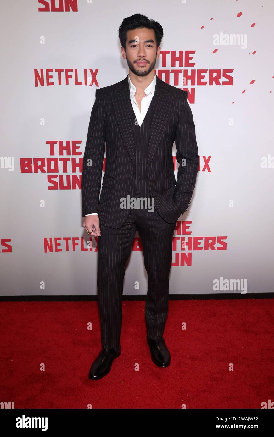 LOS ANGELES, CA - JANUARY 4: Justin Chien at the Netflix Premiere Of ...