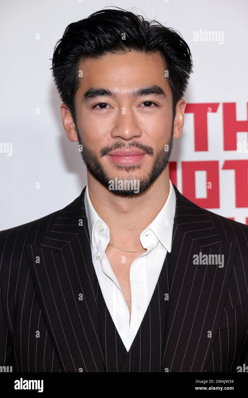 LOS ANGELES, CA - JANUARY 4: Justin Chien at the Netflix Premiere Of ...