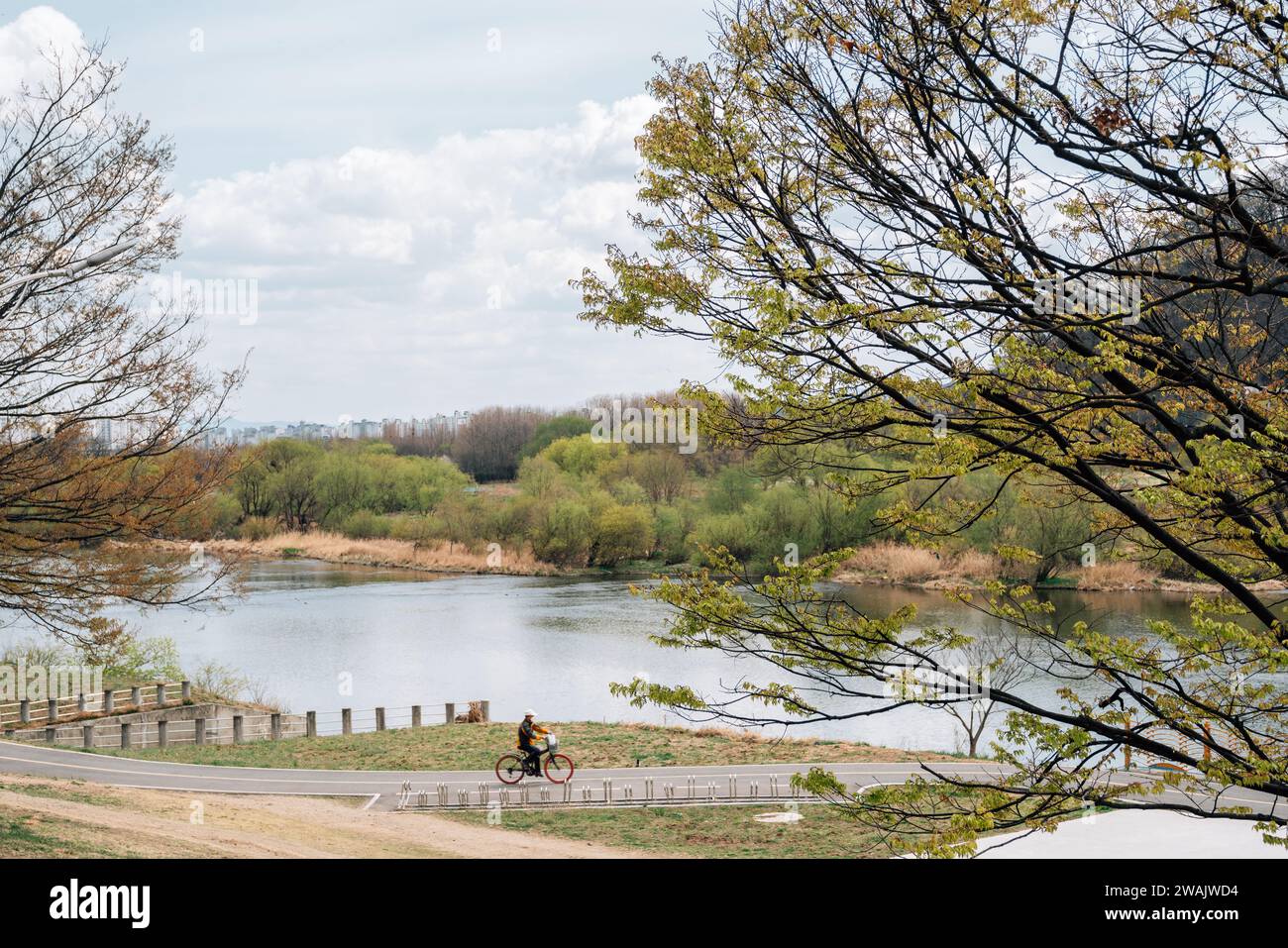 Dongchon riverside park in Daegu, Korea Stock Photo - Alamy