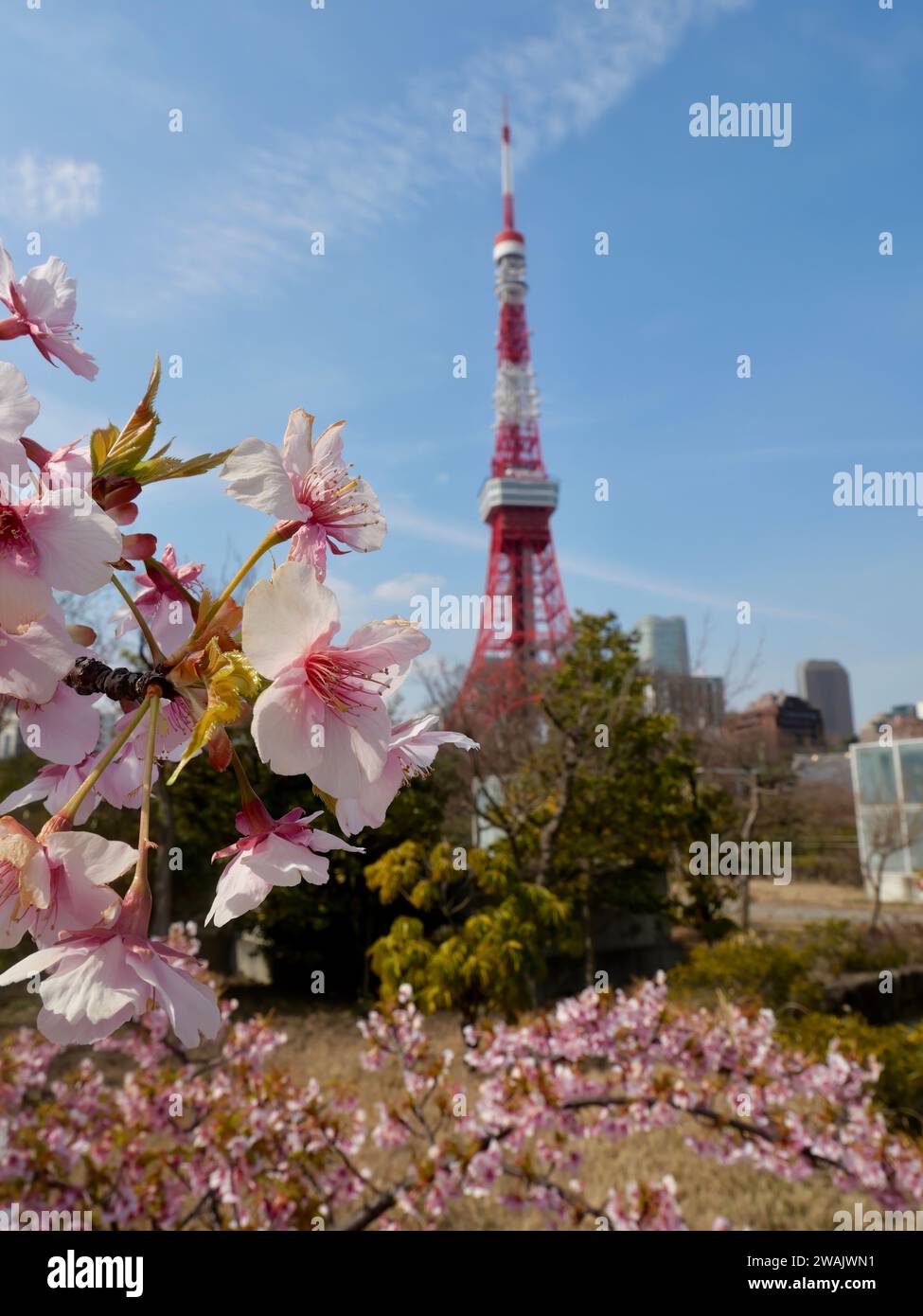 Tokyo skyline backdrop hi-res stock photography and images - Alamy