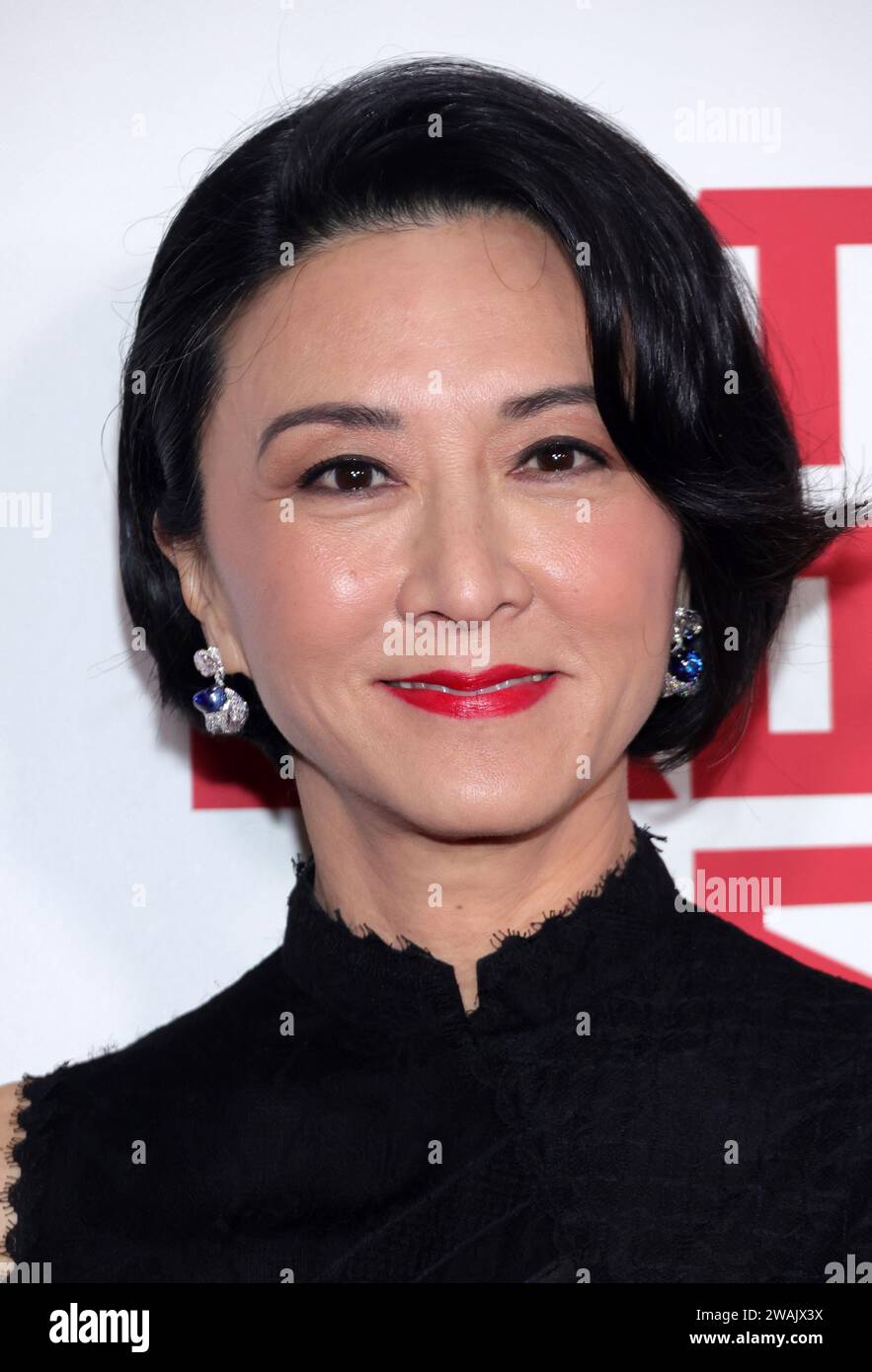 Los Angeles, Ca. 4th Jan, 2024. Virginia Hu Chien at the Netflix ...