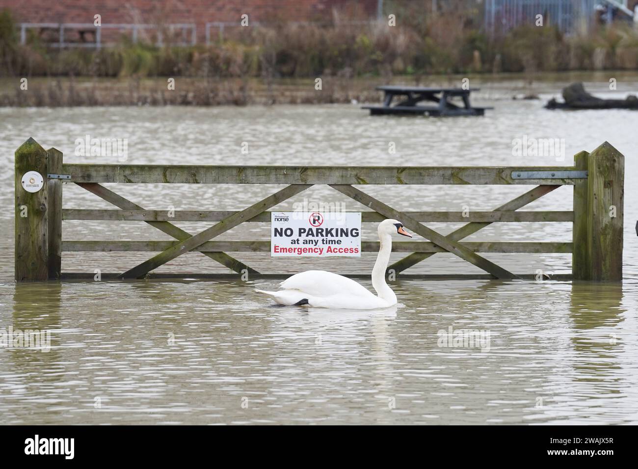Flooding in Wellingborough due to rising levels of the River Nene. The ...