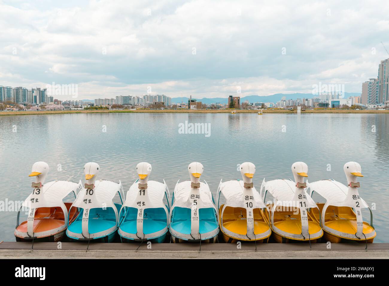 Daegu, Korea - April 1, 2022 : Suseongmot Lake park duck boats Stock ...