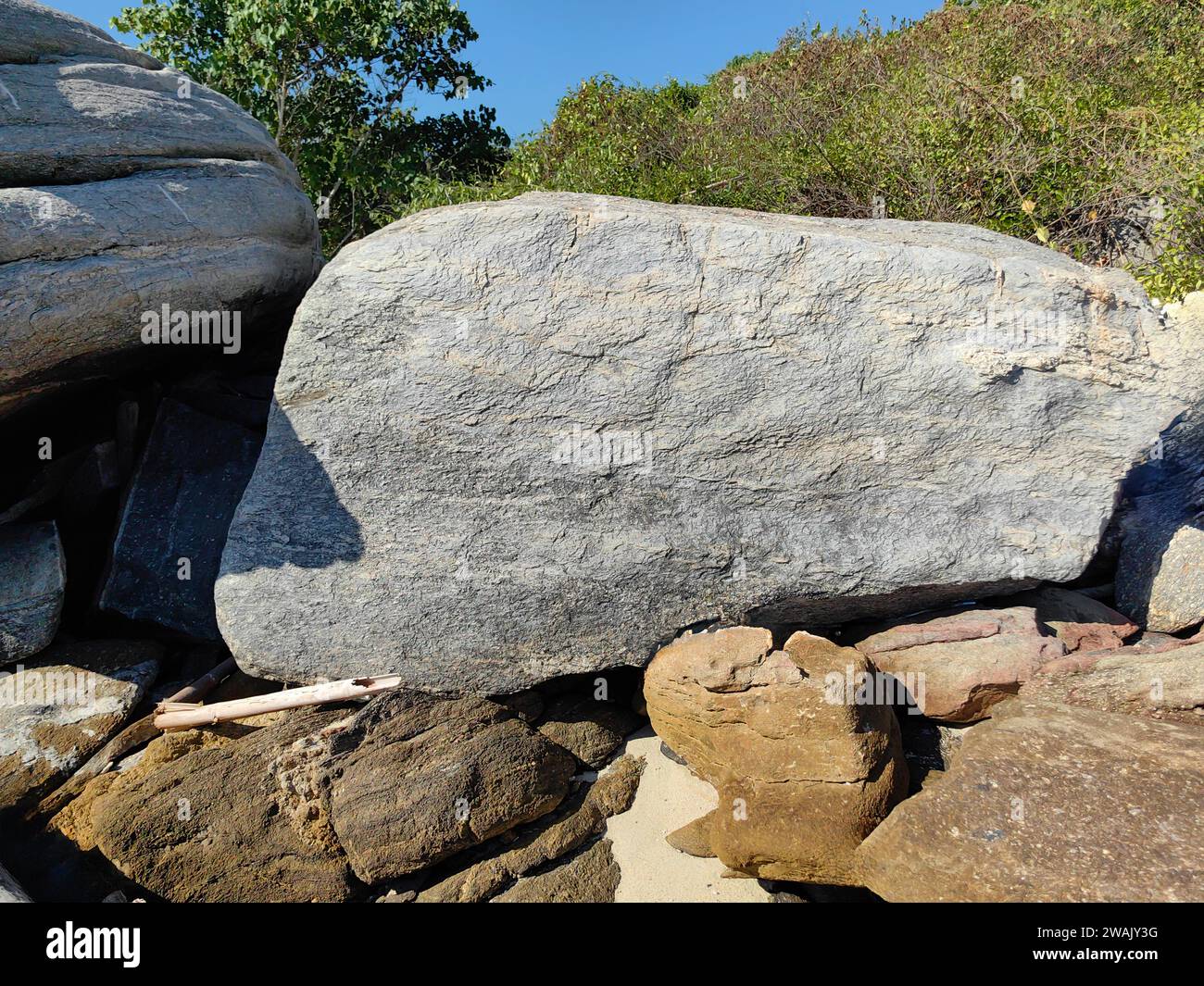 Stone in the Jungle Stock Photo - Alamy