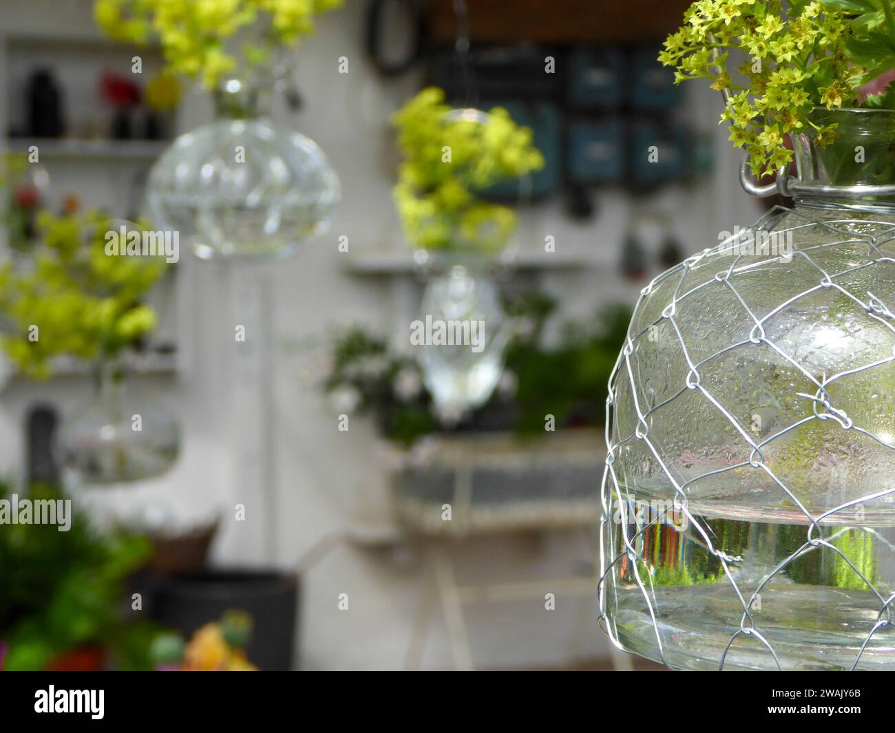 A vibrant display of colorful floral arrangements in tall vases is ...