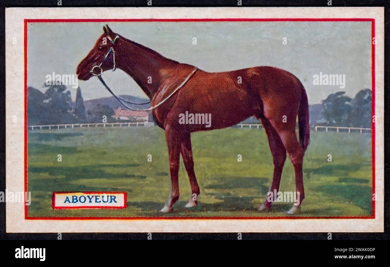 Aboyeur - Vintage Cigarette Card Illustration, Horse Racing Stock Photo ...
