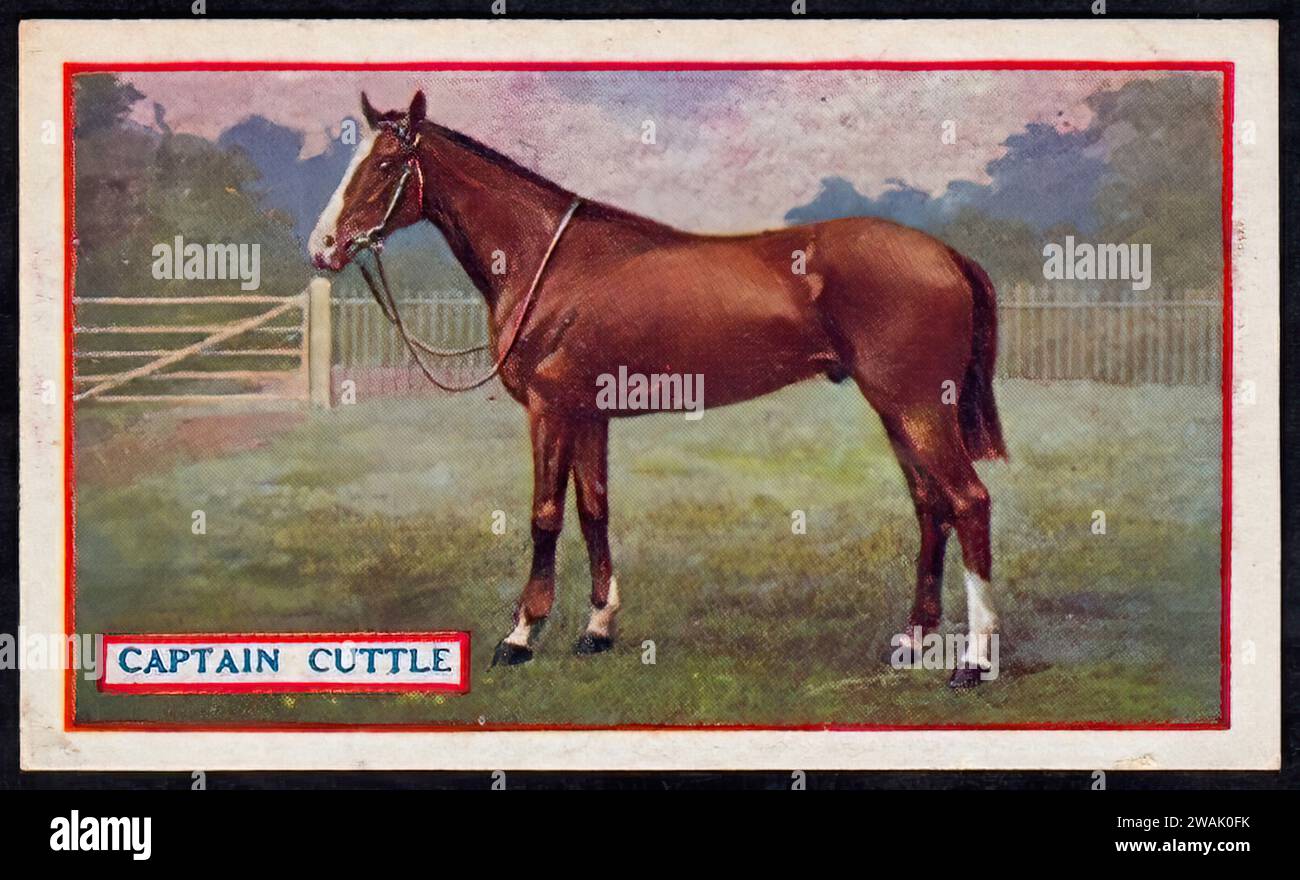 Captain Cuttle - Vintage Cigarette Card Illustration, Horse Racing ...