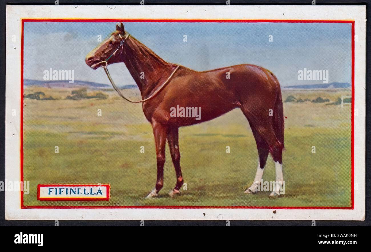 Fifinella - Vintage Cigarette Card Illustration, Horse Racing Stock ...