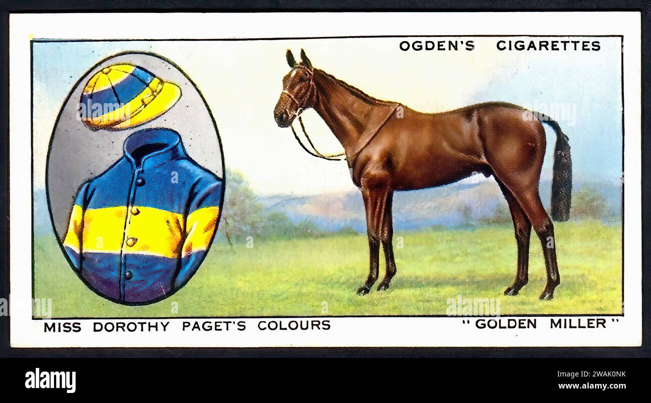 Golden Miller - Vintage Cigarette Card Illustration, Horse Racing Stock ...