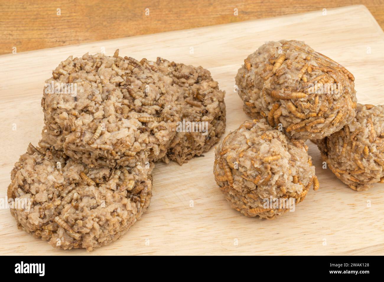 Bug meat burgers & meatballs made with Mealworms / Tenebrio molitor ...