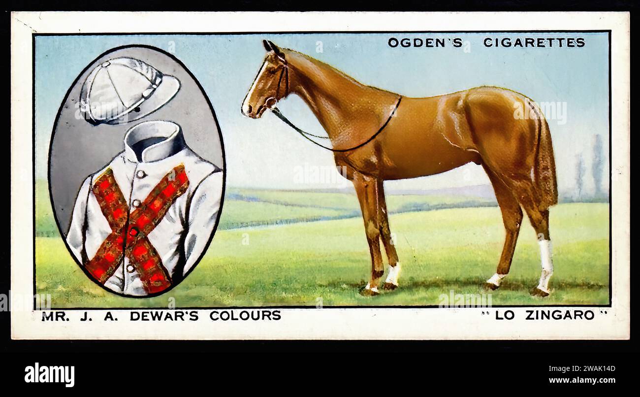 Zingaro horse hi-res stock photography and images - Alamy