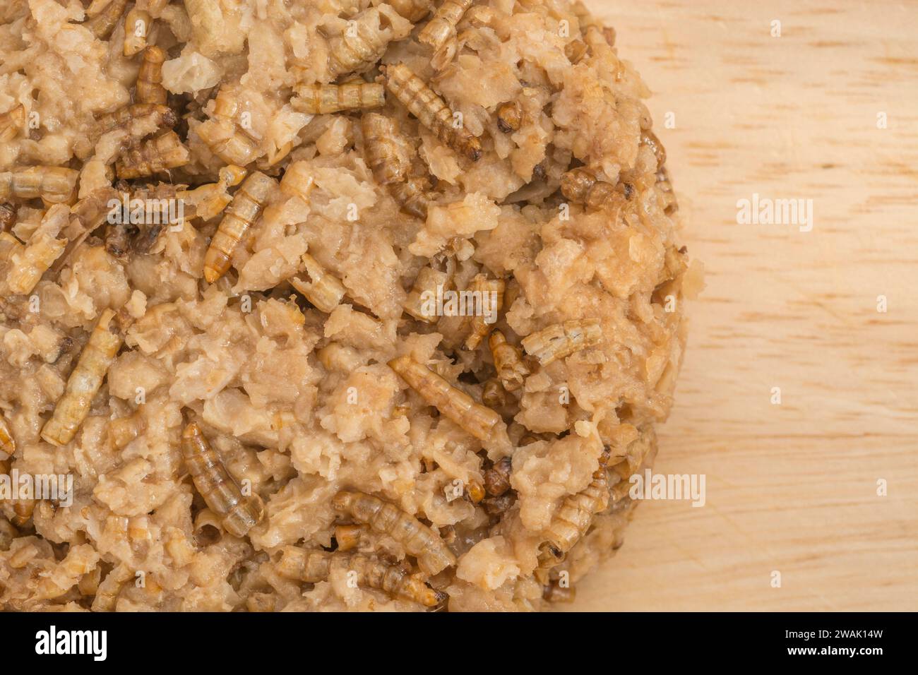 Close shot edible bugs made into meat burger made with Mealworms ...