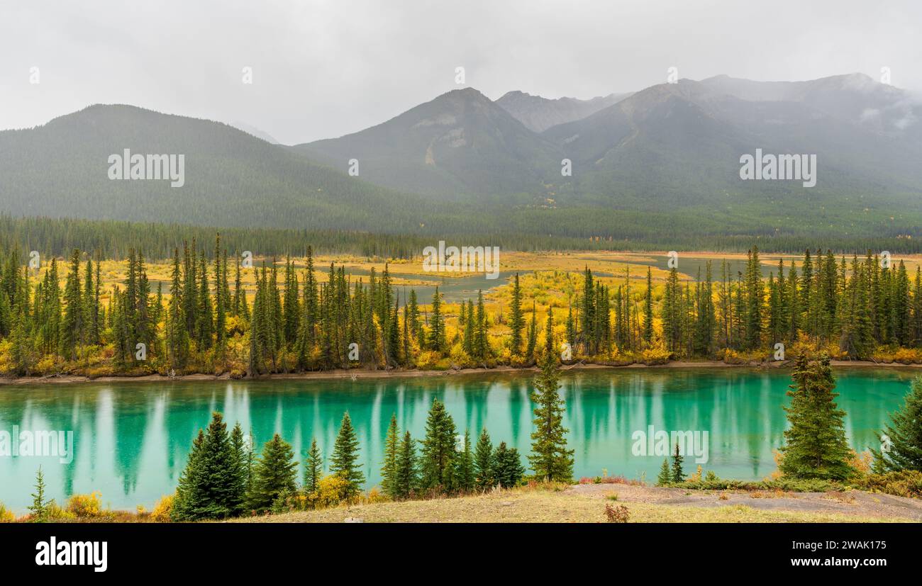 Backswamp Viewpoint. Bow River in fall foliage season, mountains in the background. Banff ...