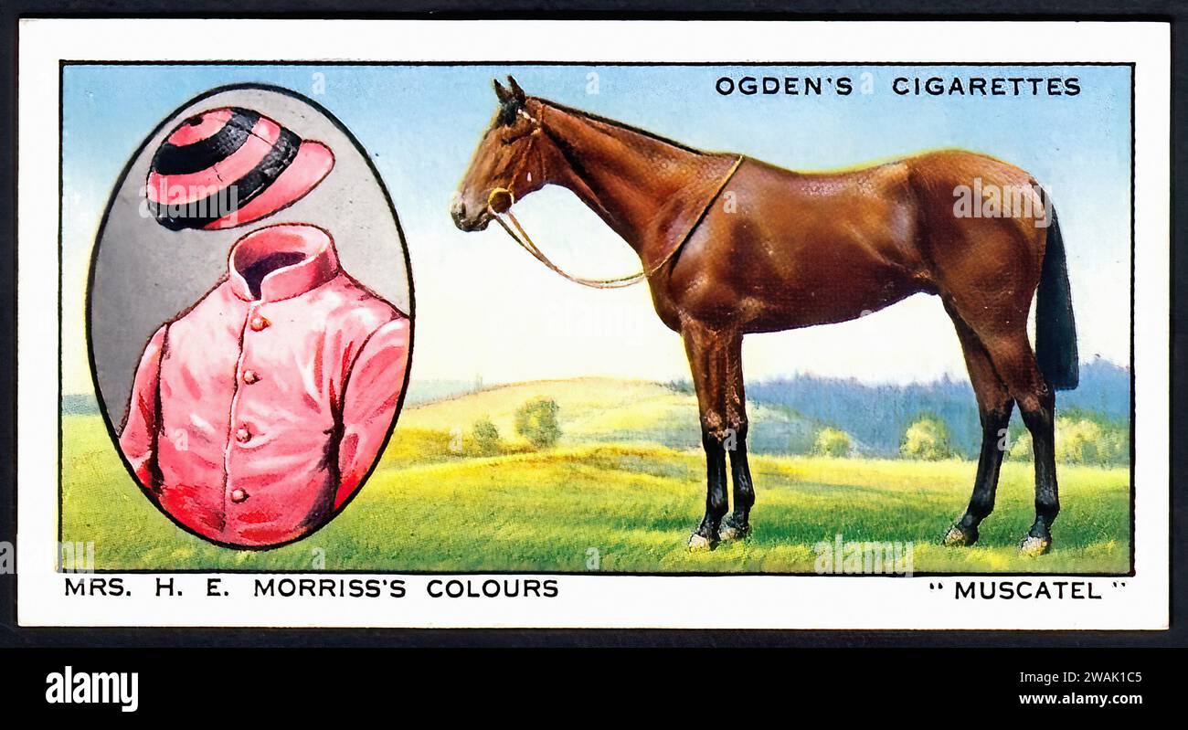 Vintage illustration horse racing hi-res stock photography and images ...