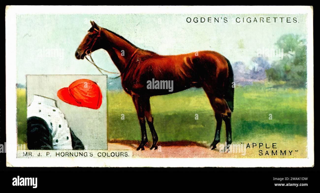 Racehorse Apple Sammy - Vintage Cigarette Card Illustration, Horse ...
