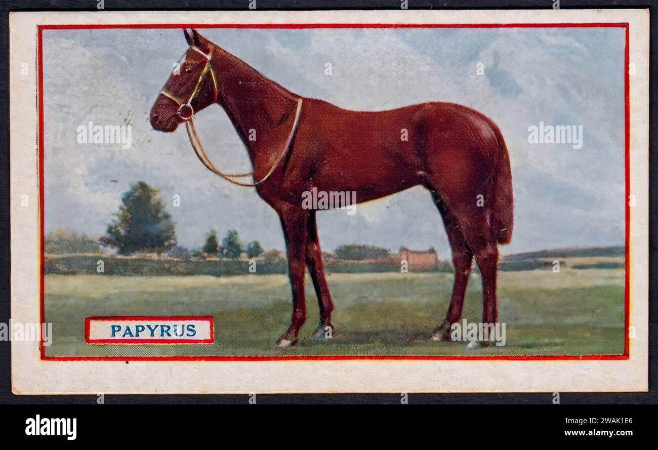 Papyrus - Vintage Cigarette Card Illustration, Horse Racing Stock Photo ...