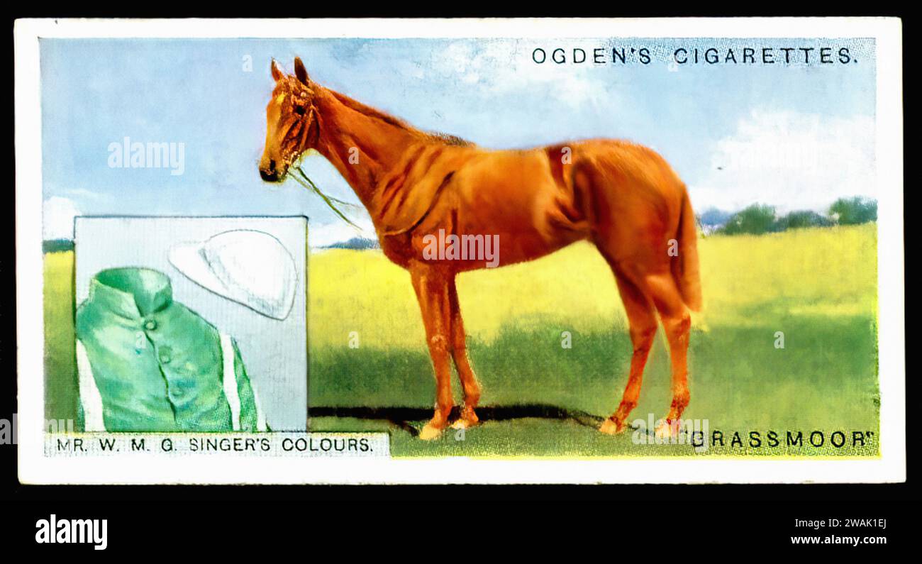 Racehorse Grassmoor - Vintage Cigarette Card Illustration, Horse Racing ...