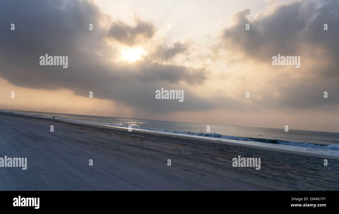 haffa beach , salalah- December 12, 2023:many coconut trees at gorgeous ...