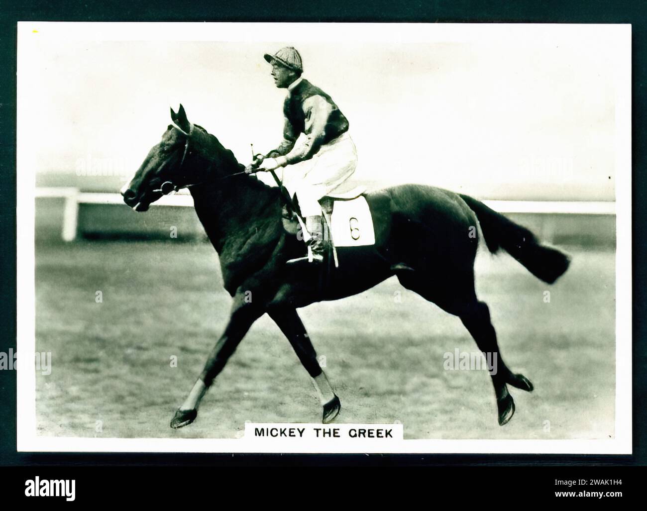 Racehorse Mickey the Greek - Vintage Cigarette Card Illustration, Horse ...