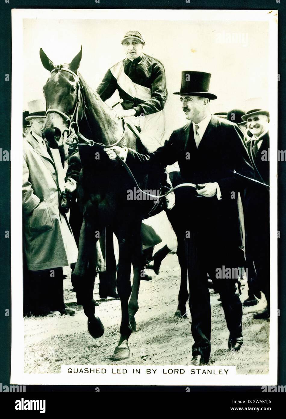 Racehorse Quashed - Vintage Cigarette Card Illustration, Horse Racing ...