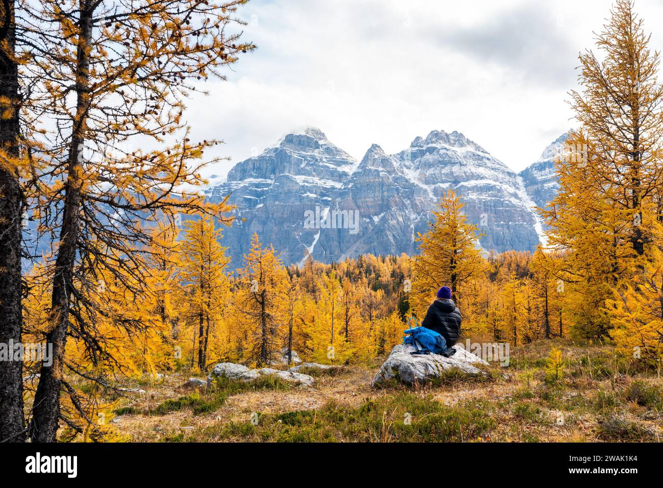 Tourists hiking in Larch Valley. Banff National Park, Canadian Rockies ...