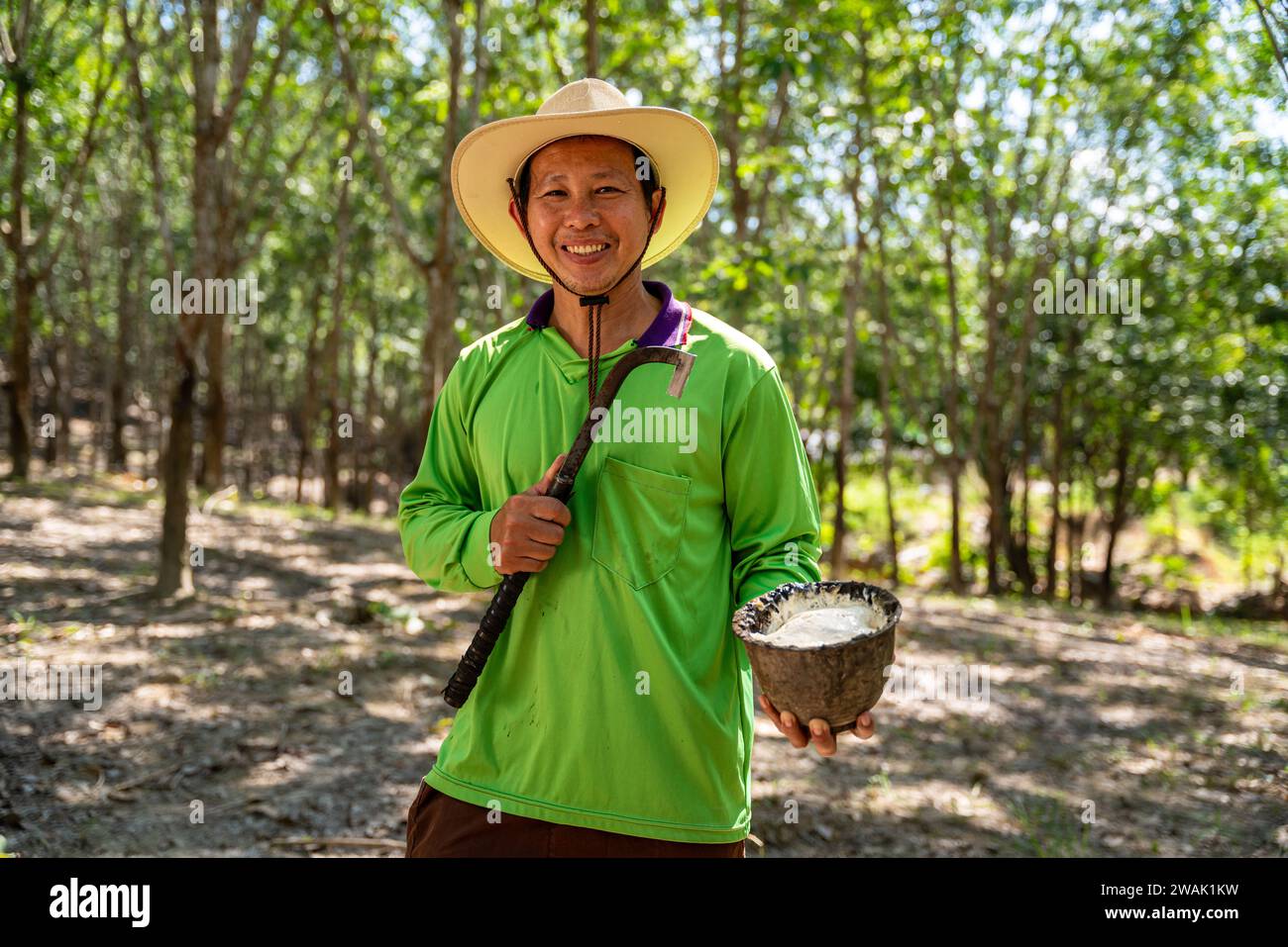 Asian happy rubber farmers stand holding cups of latex in a rubber tree ...