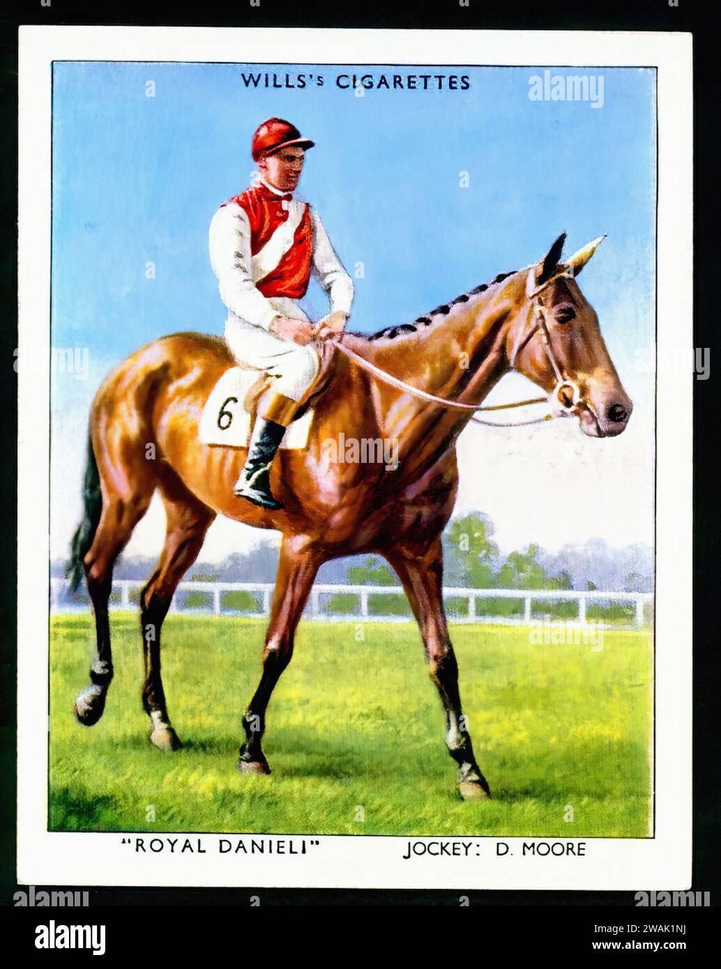 Royal Danieli - Vintage Cigarette Card Illustration, Horse Racing Stock ...