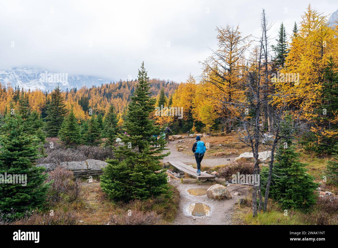 Hiking in alberta hi-res stock photography and images - Alamy