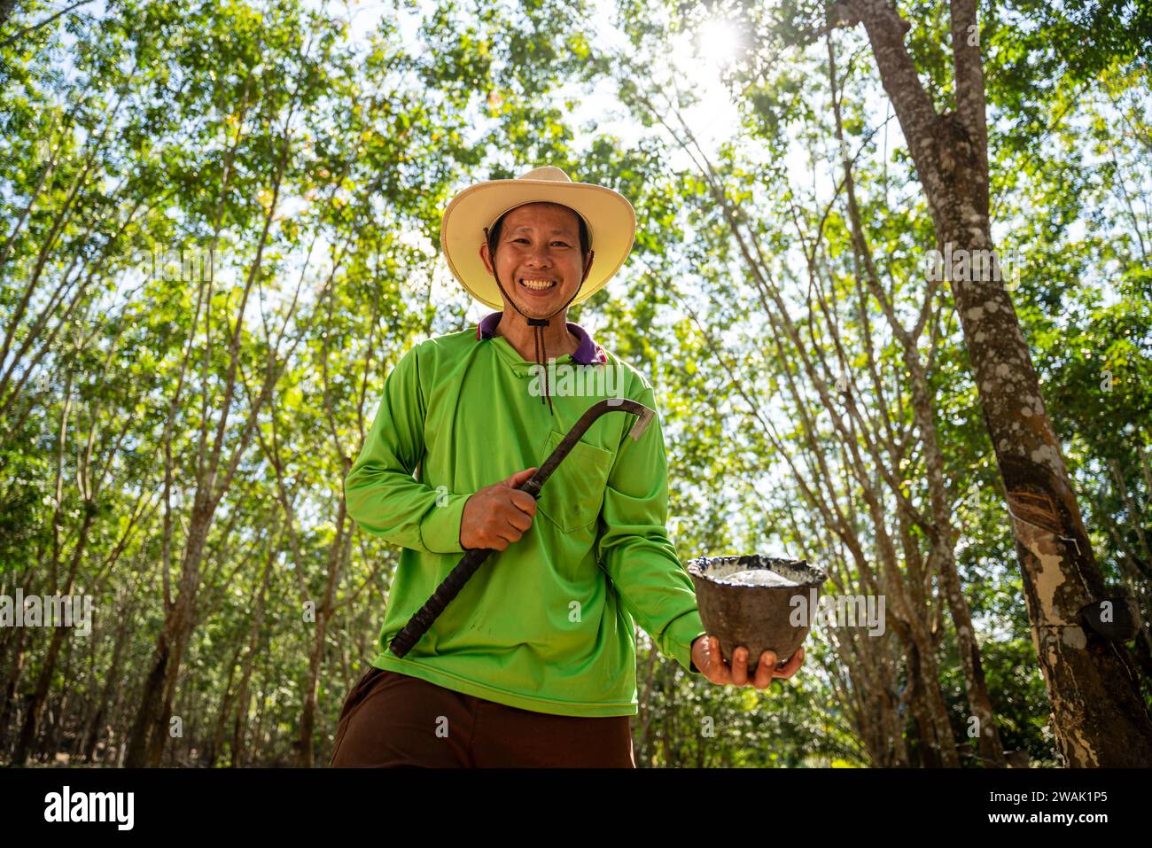 Happy asian rubber farmers stand holding cups of latex in a rubber tree ...