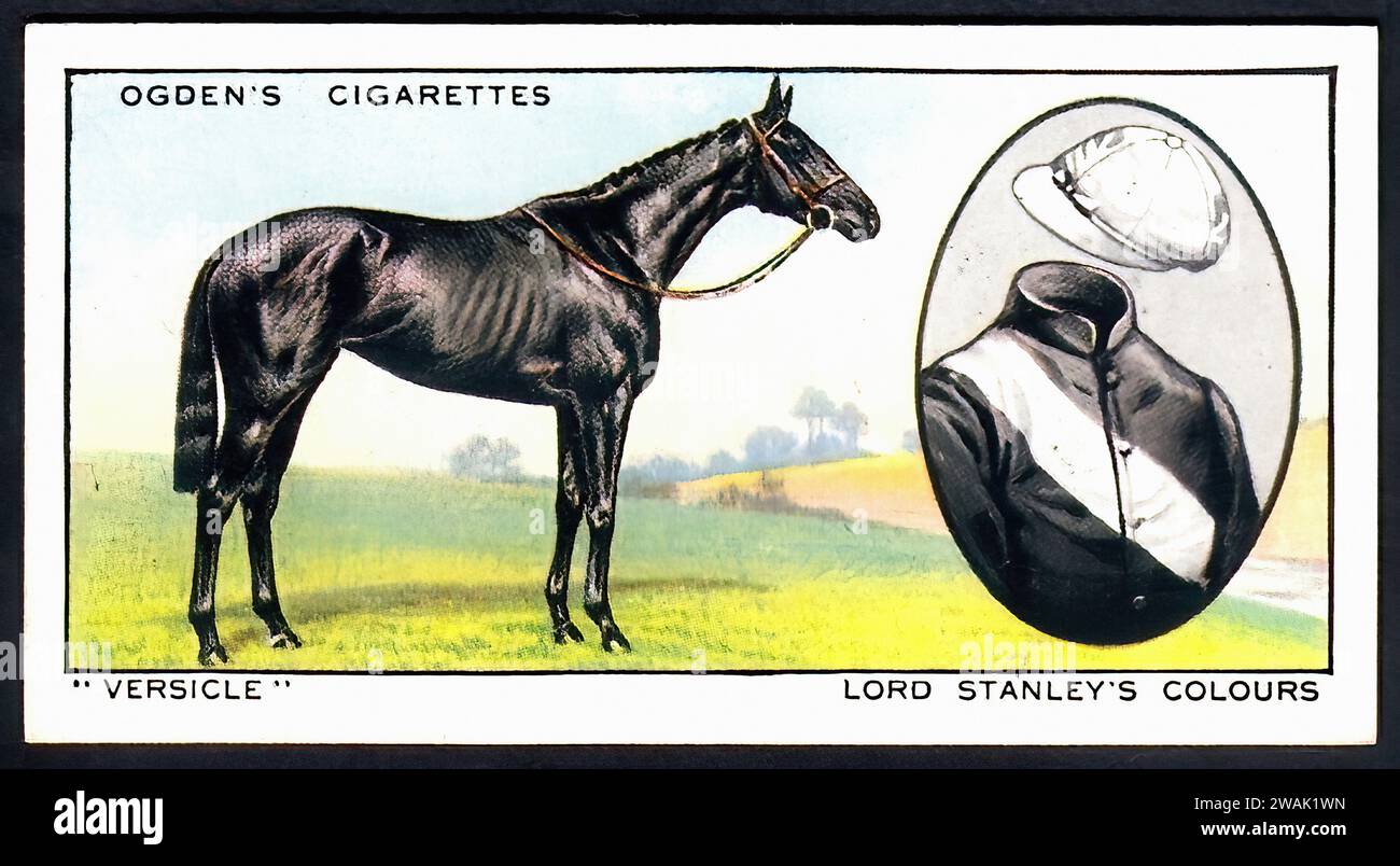 Versicle - Vintage Cigarette Card Illustration, Horse Racing Stock ...