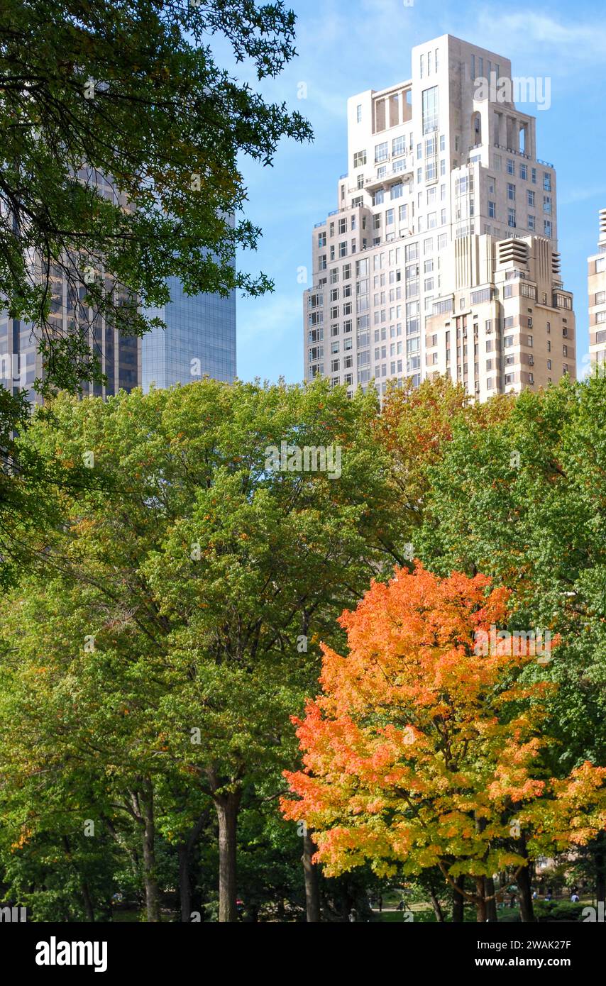 Skyscraper with trees hi-res stock photography and images - Alamy