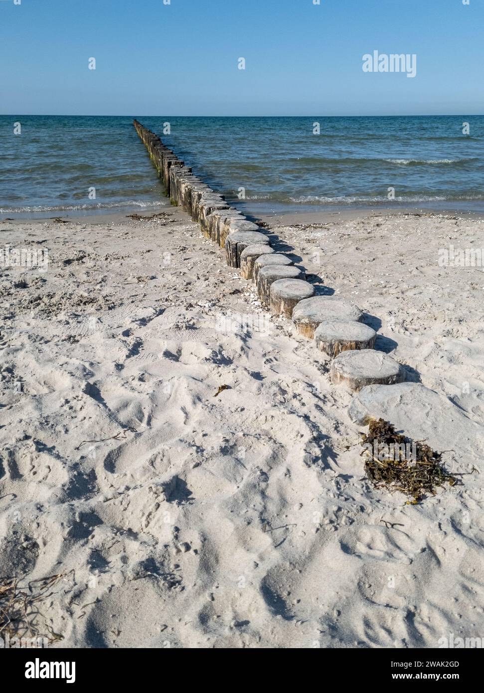 A groyne is a dam built in front of the sea, usually at right angles to ...