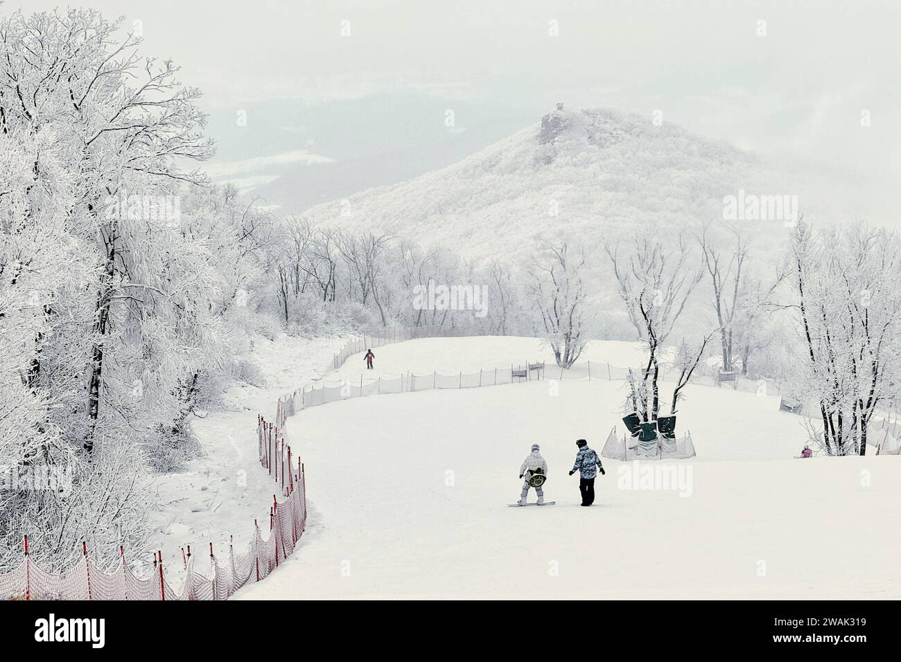 (240105) -- JILIN, Jan. 5, 2024 (Xinhua) -- People enjoy winter sports ...