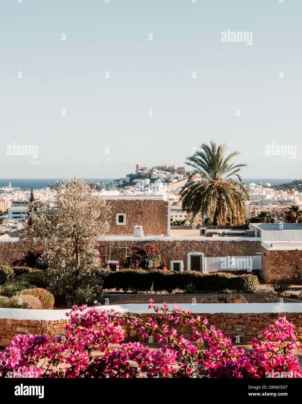 A scenic view of the cityscape of Ibiza with tall palm trees and ...