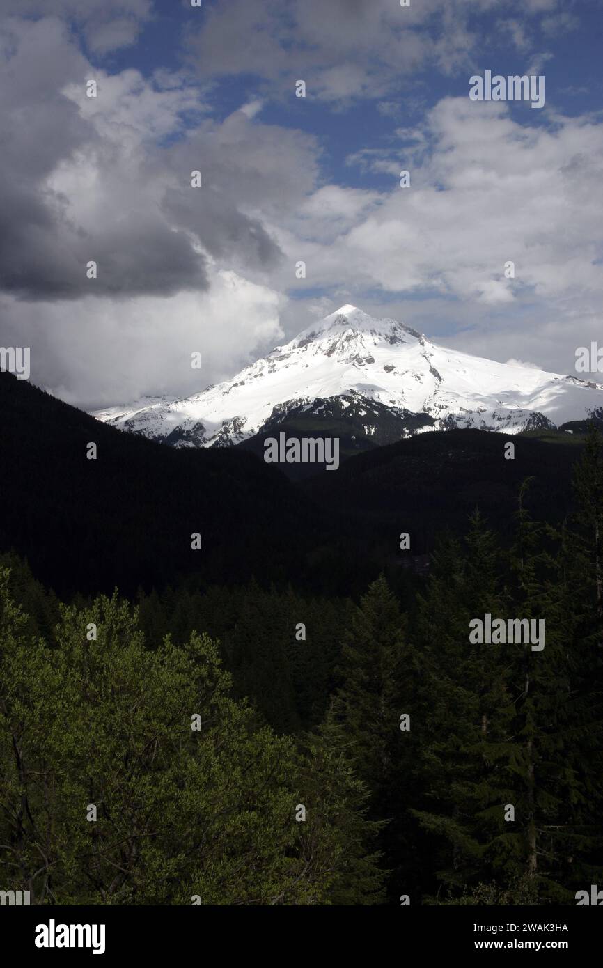 Mt Hood, Oregon Stock Photo - Alamy