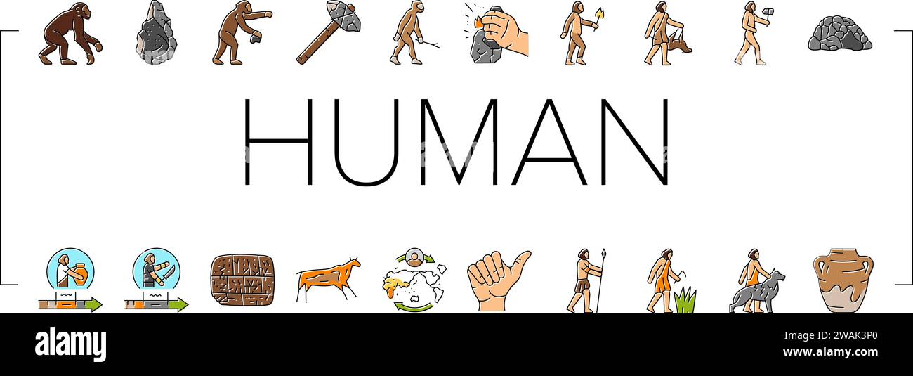 human evolution man caveman icons set vector Stock Vector Image & Art ...
