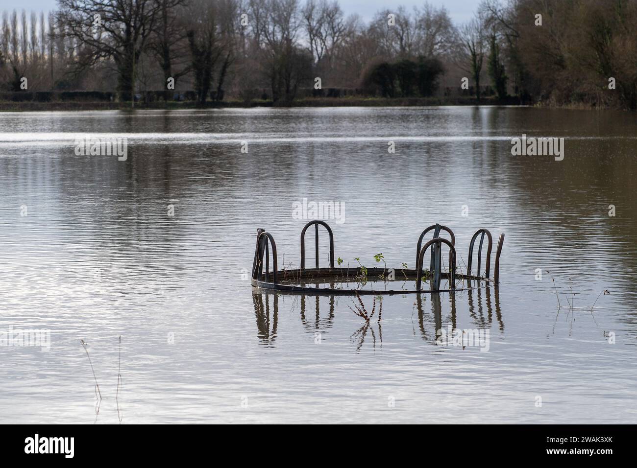 Lower Shiplake, Oxfordshire, UK. 5th January, 2024. Cattle feeding ...