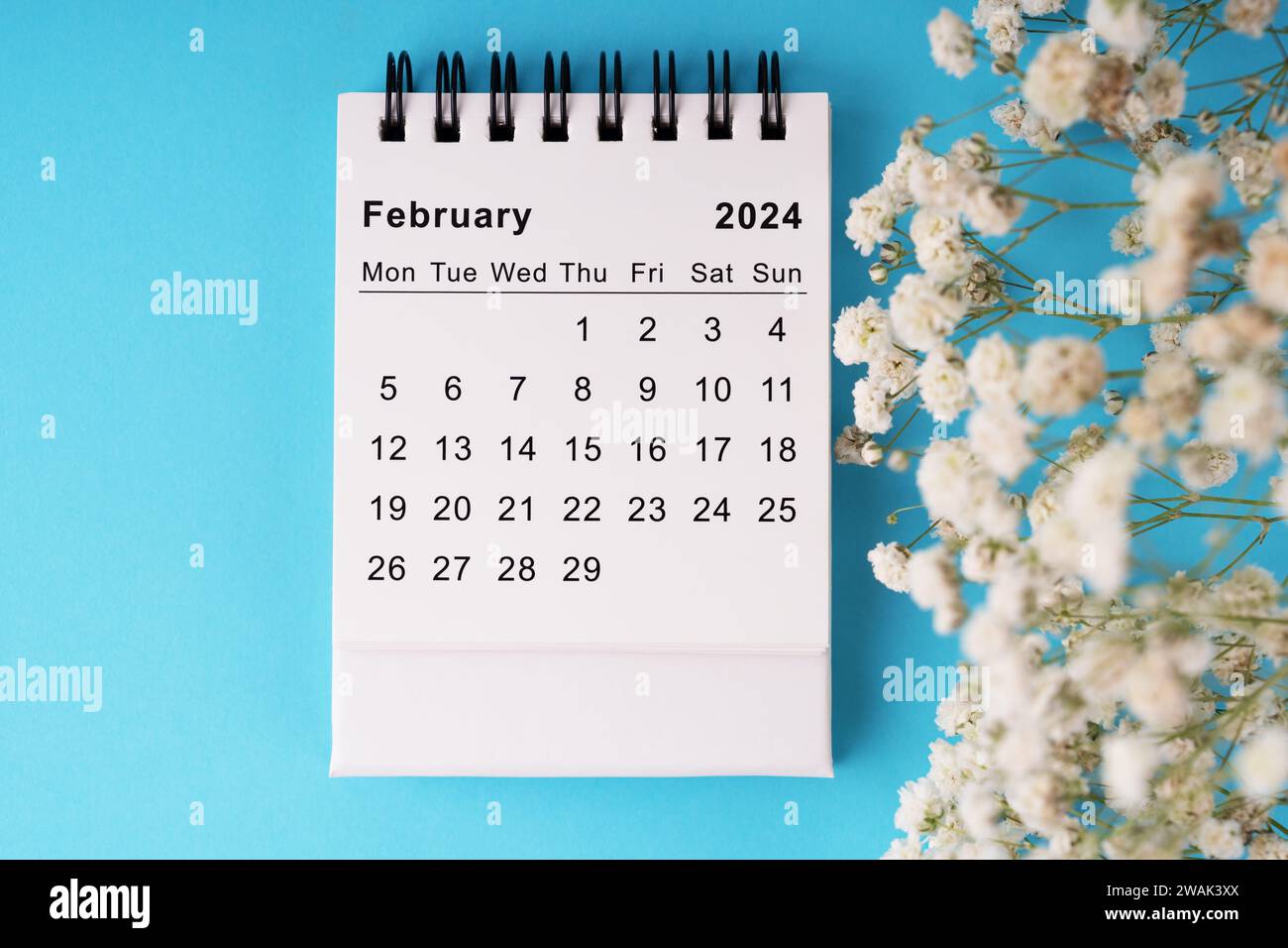 February 2024 Calendar flat lay blue background Stock Photo - Alamy