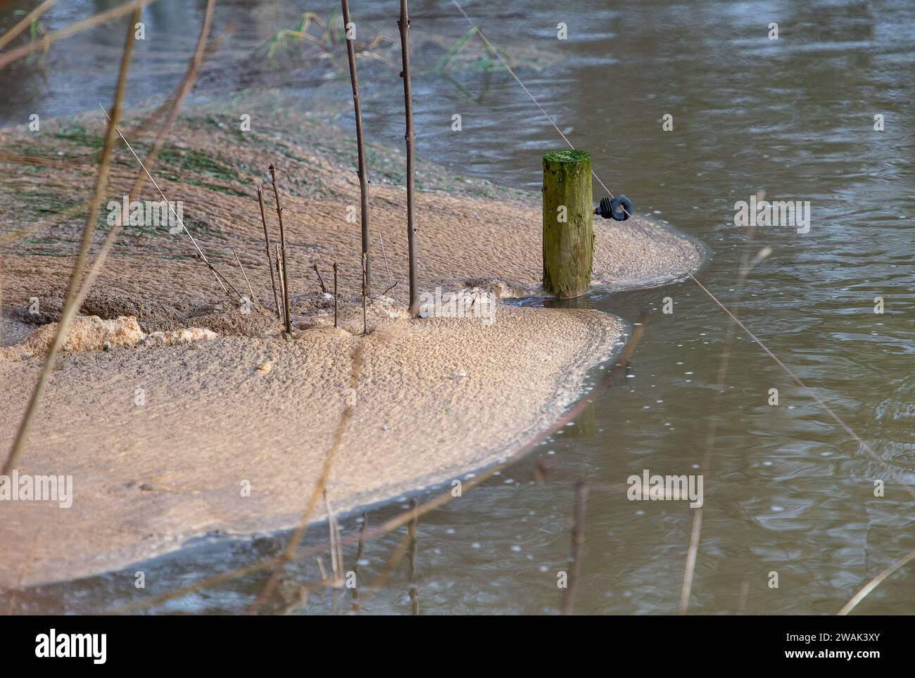 Lower Shiplake, Oxfordshire, UK. 5th January, 2024. Pollution and plant ...