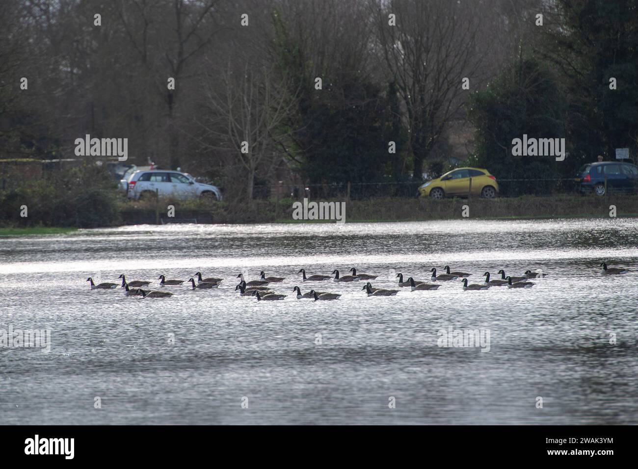 Lower Shiplake, Oxfordshire, UK. 5th January, 2024. Floodwater in ...
