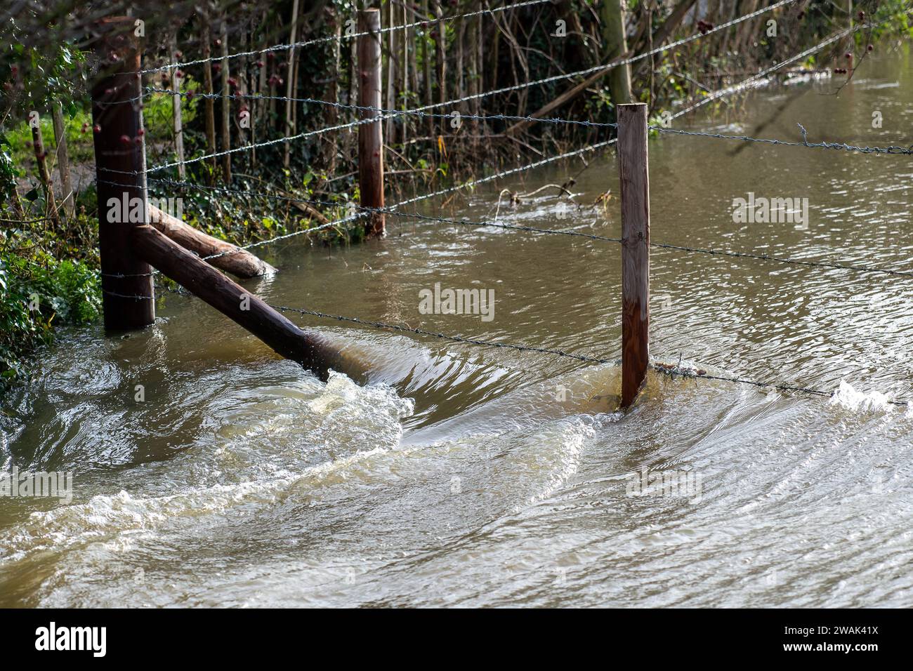 Lower Shiplake, Oxfordshire, UK. 5th January, 2024. Water flows at a ...