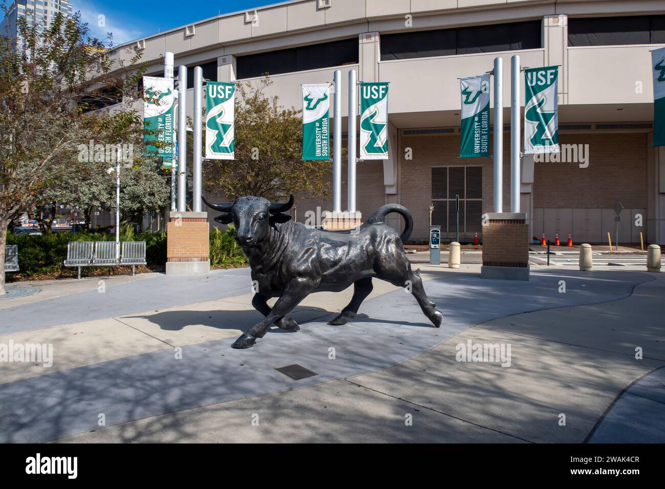 The University of South Florida Park by the Tampa Riverwalk in Florida ...