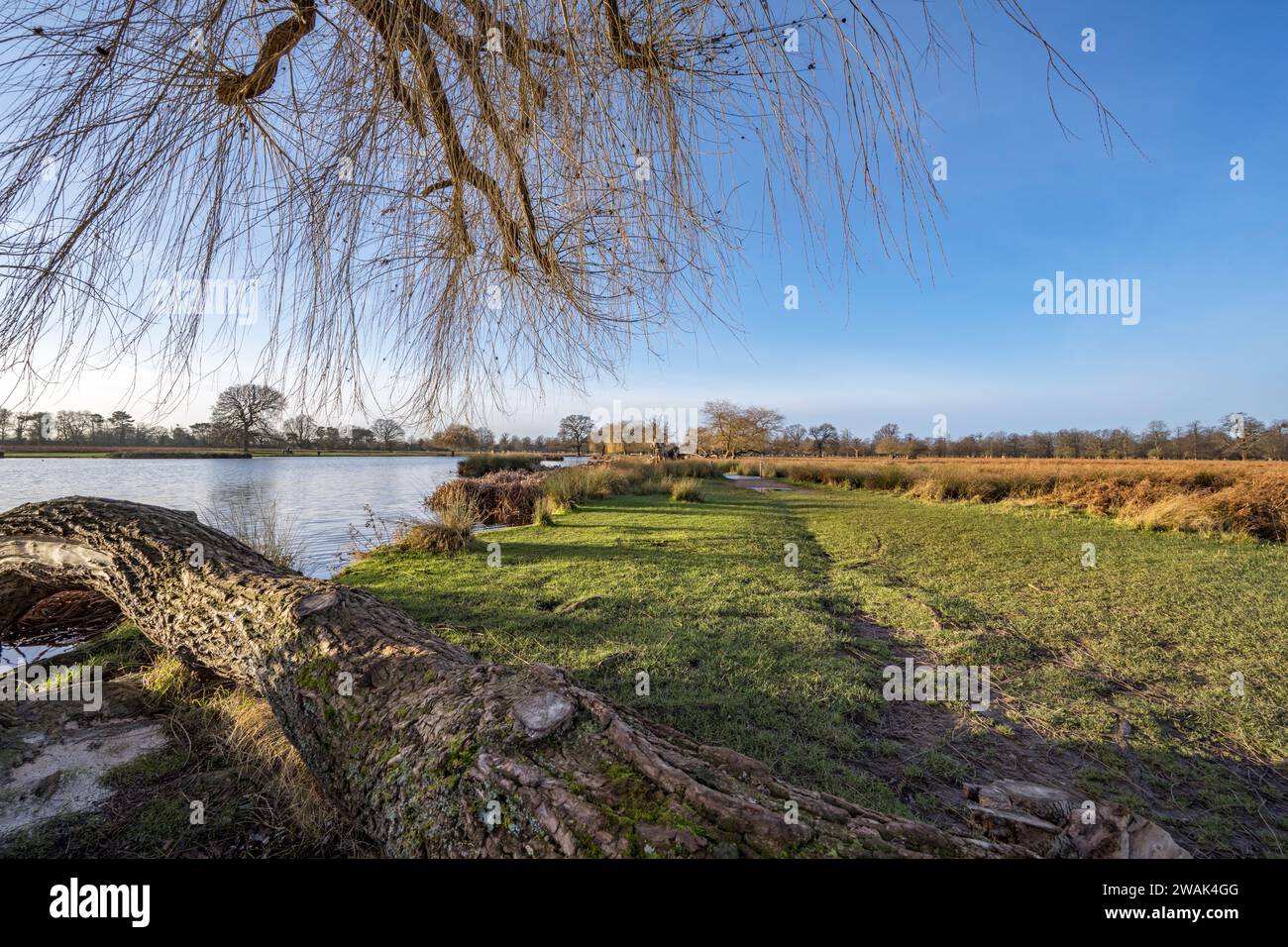 Rural life mid winter in Surrey UK Stock Photo - Alamy