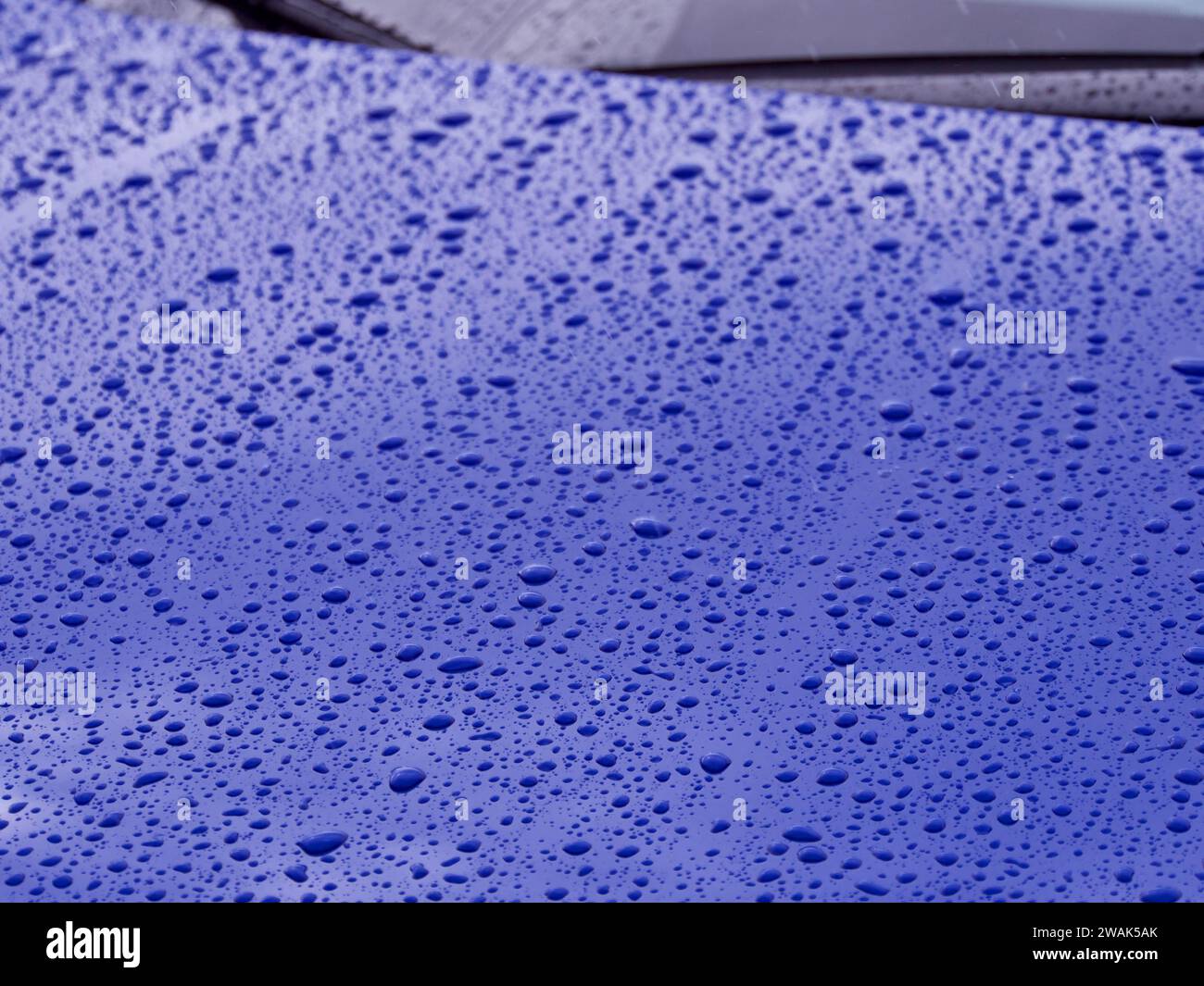 Background texture of glistening water droplets beading on a bright ...