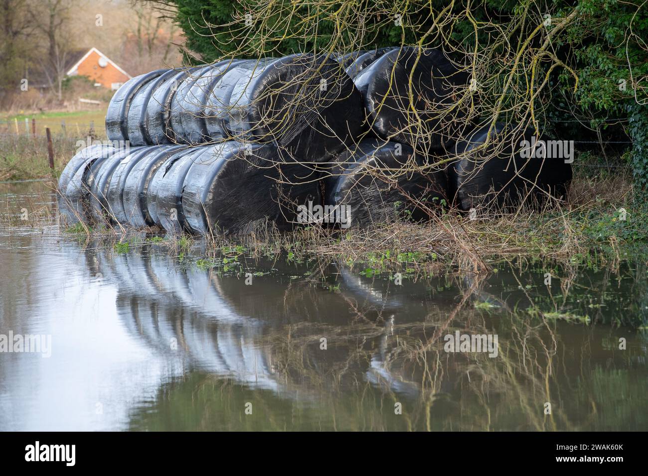 Shiplake, Oxfordshire, UK. 5th January, 2024. The River Thames has ...