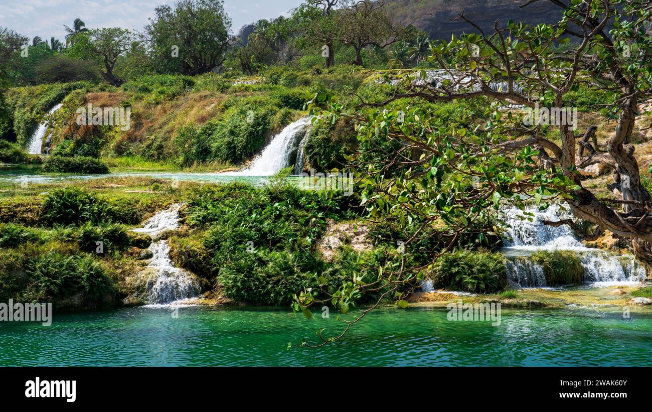 mini Waterfalls at Wadi Darbat in the Dhofar region of Oman Stock Photo ...