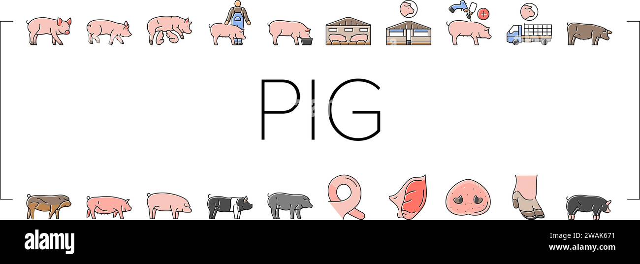 pork pig farm animal piglet hog icons set vector Stock Vector Image ...